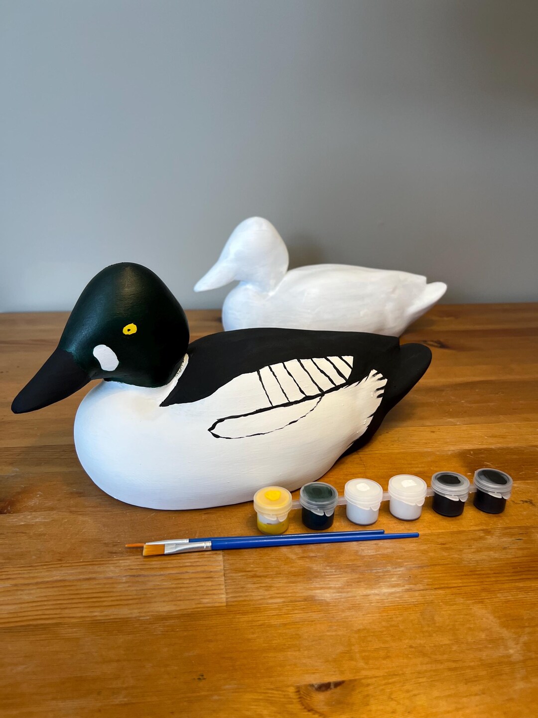 Paint-a-duck Kit - Common Goldeneye - Etsy