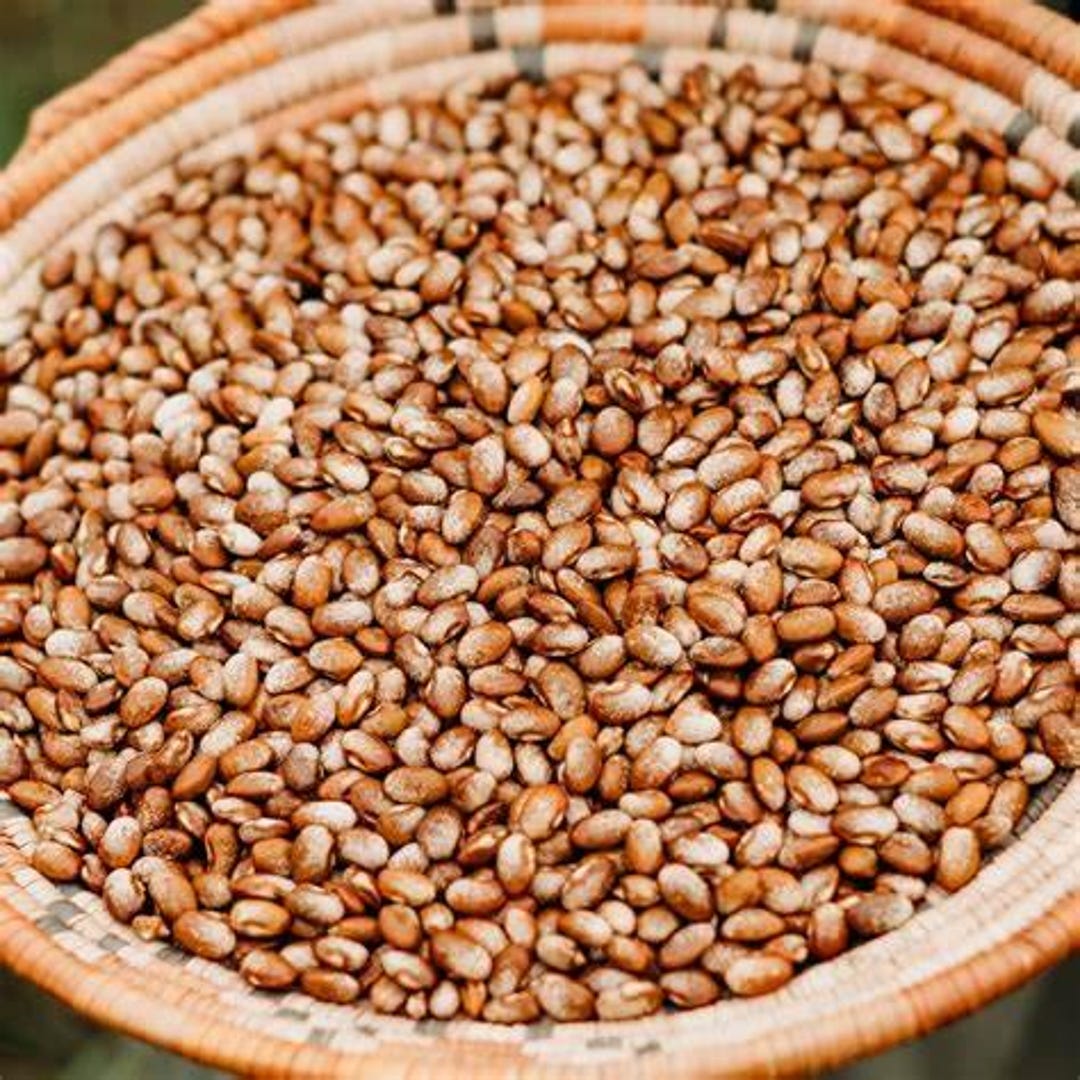 6 Turkey Craw Pole Bean Seeds - Etsy