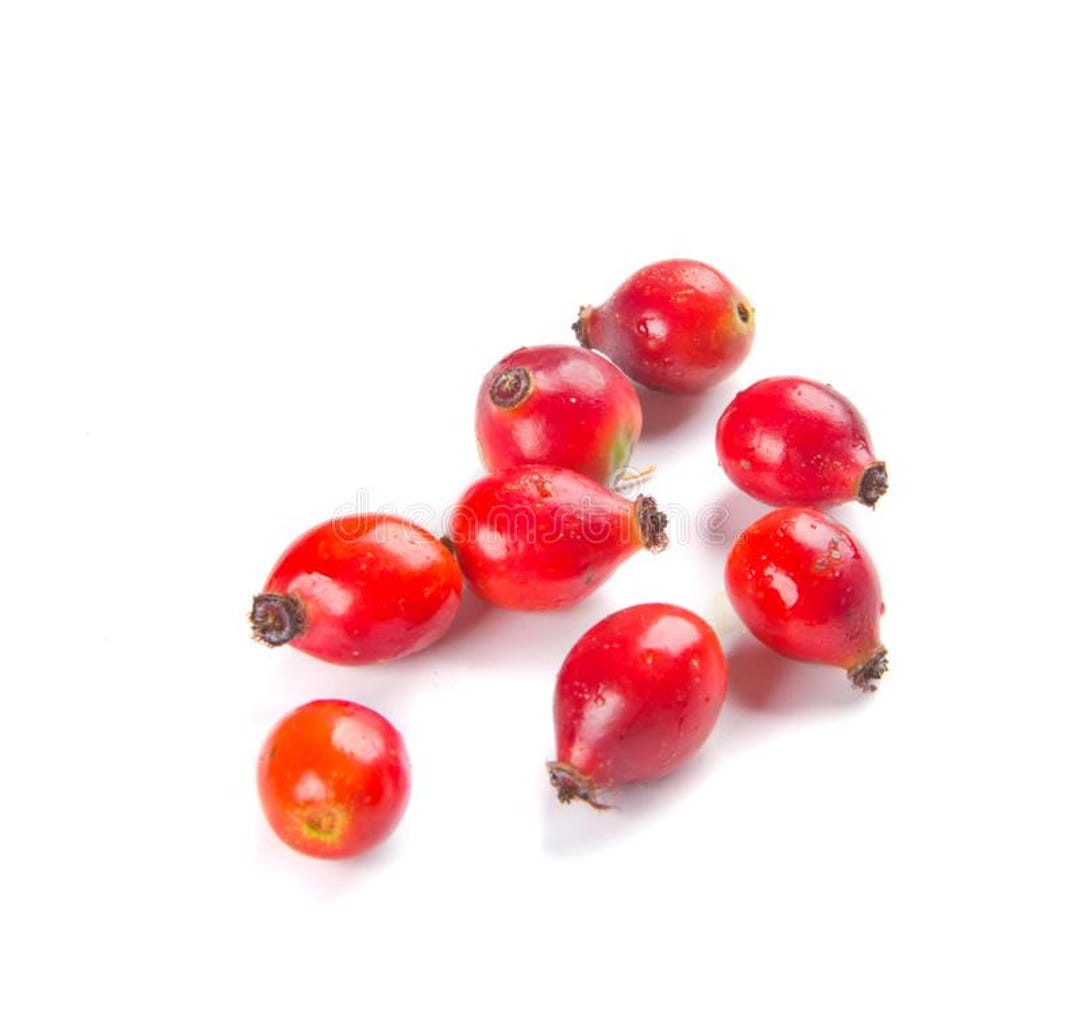 10 Sweet Briar Tree Seeds - Etsy