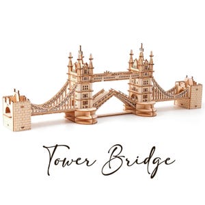 3D Wooden Puzzle Kit for Kids Teens Adults by Rolife Montessori Puzzle ...