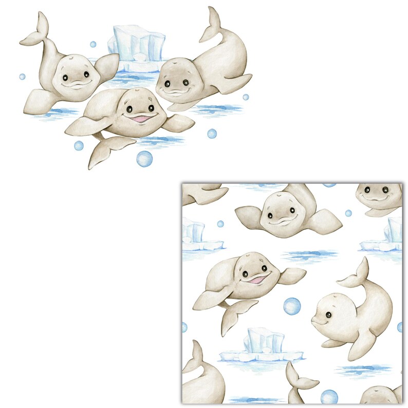 Baby Beluga Clipart PNG Files Digital Paper JPG Sublimation Design ...