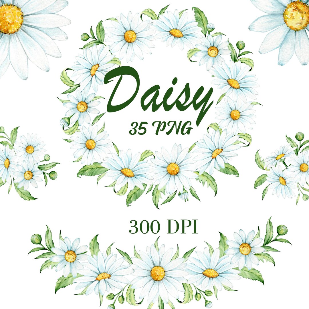 Daisy Watercolor Clipart Daisy Bouquets Daisy Wreaths Summer Flowers ...