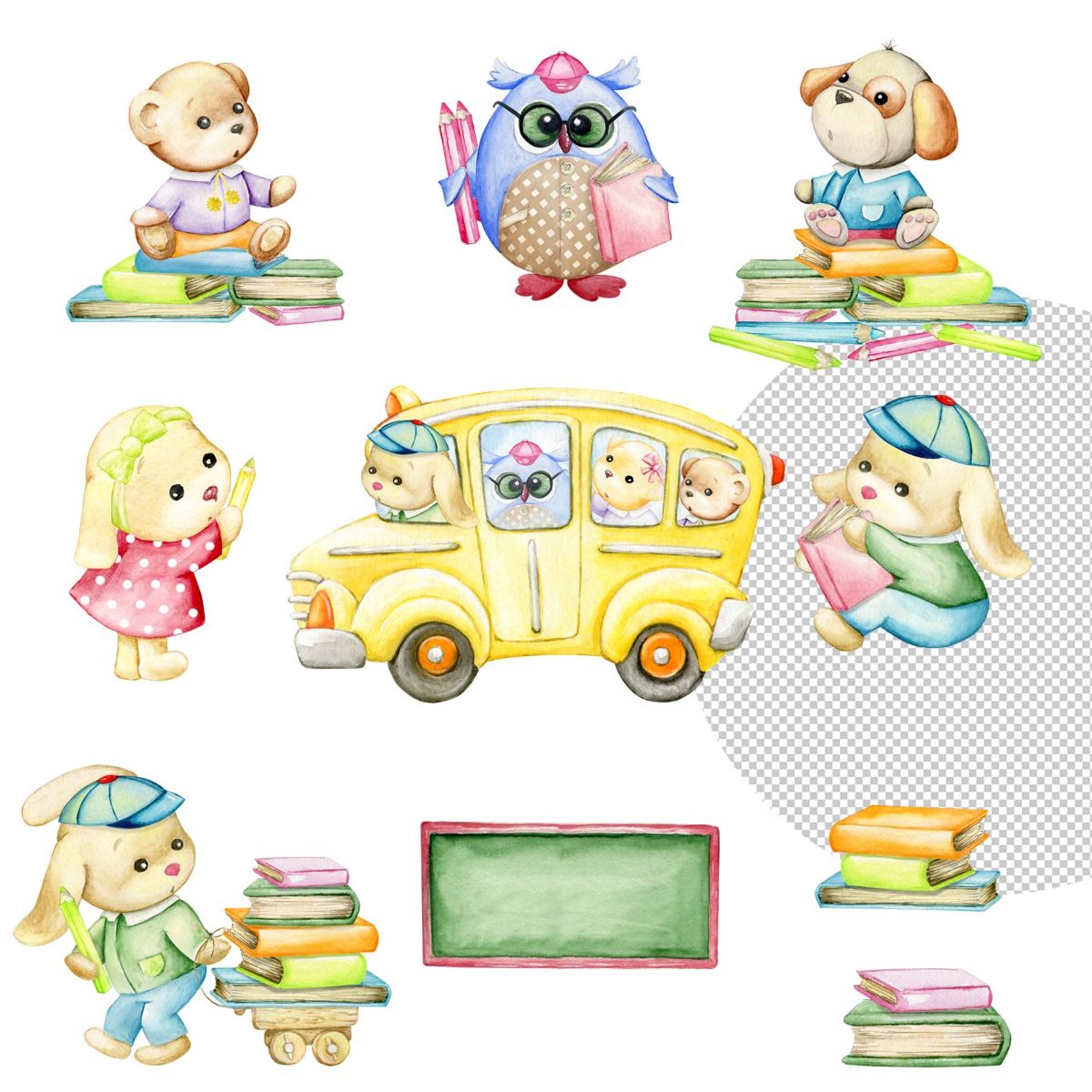 Back to School Watercolor Clipart, Cute Animals, Owl Teacher, Animals ...