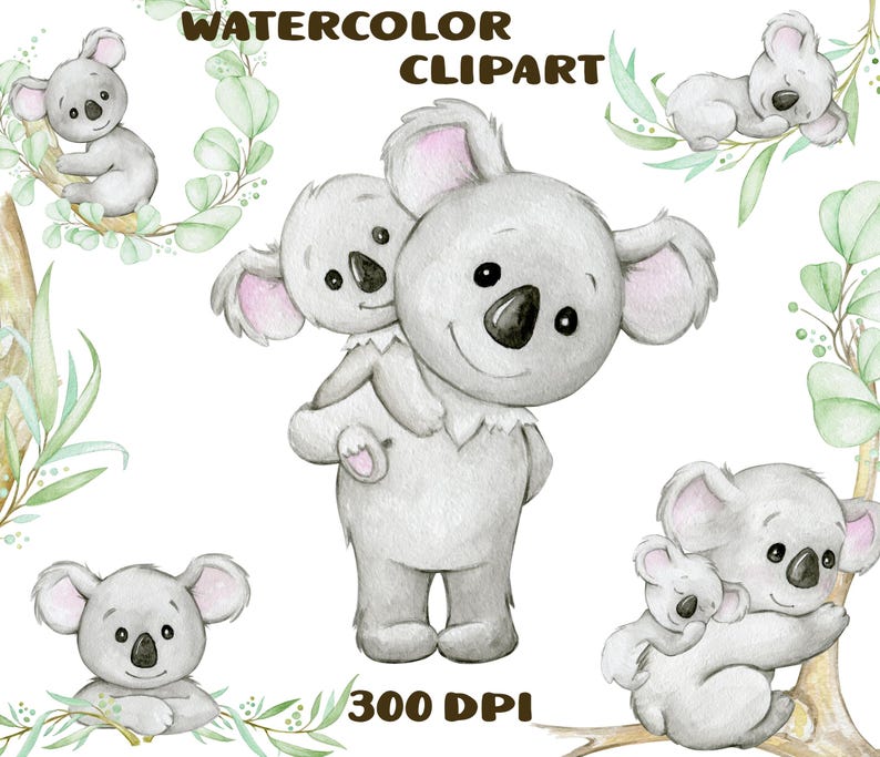 Koala Watercolor Clipart, Cute Koala Png, Nursery Decor, Baby Shower ...
