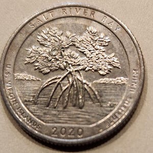 2020-W Washington Quarter Salt River Bay V75 - Etsy