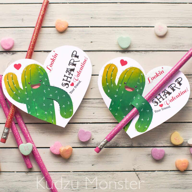 Pencil Cactus - Etsy