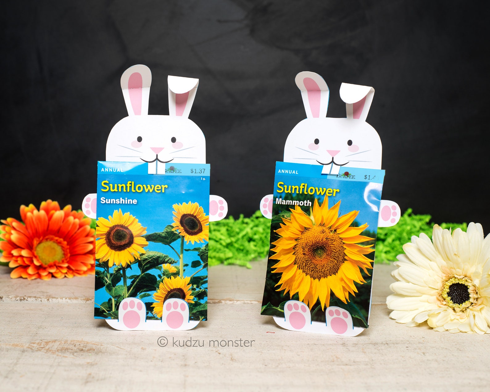 Easter Bunny Printable Card to Hold Seed Packets as a Unique | Etsy