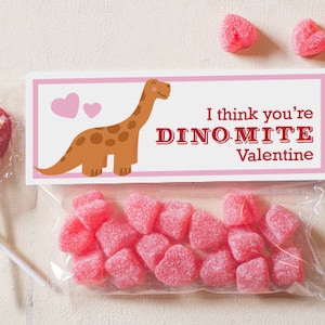 INSTANT DOWNLOAD Printable Cute Dinosaur Classroom Valentines Treat ...