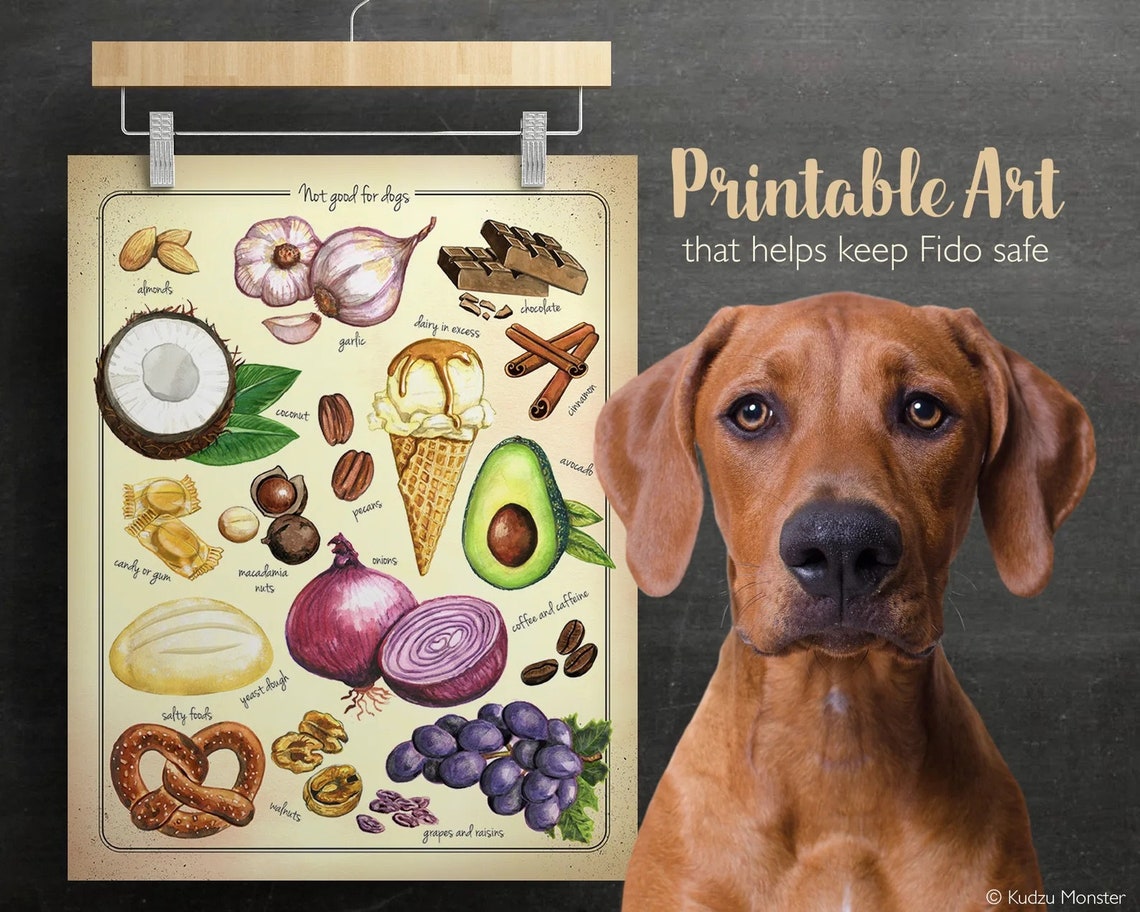 Printable Artwork Illustrated Foods That Are Not Safe for Dogs to Eat ...