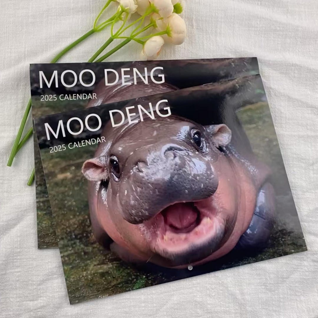 2025 Moo Deng Calendar, 2025 Moo Deng Pygmy Hippo Hangable Monthly Wall ...