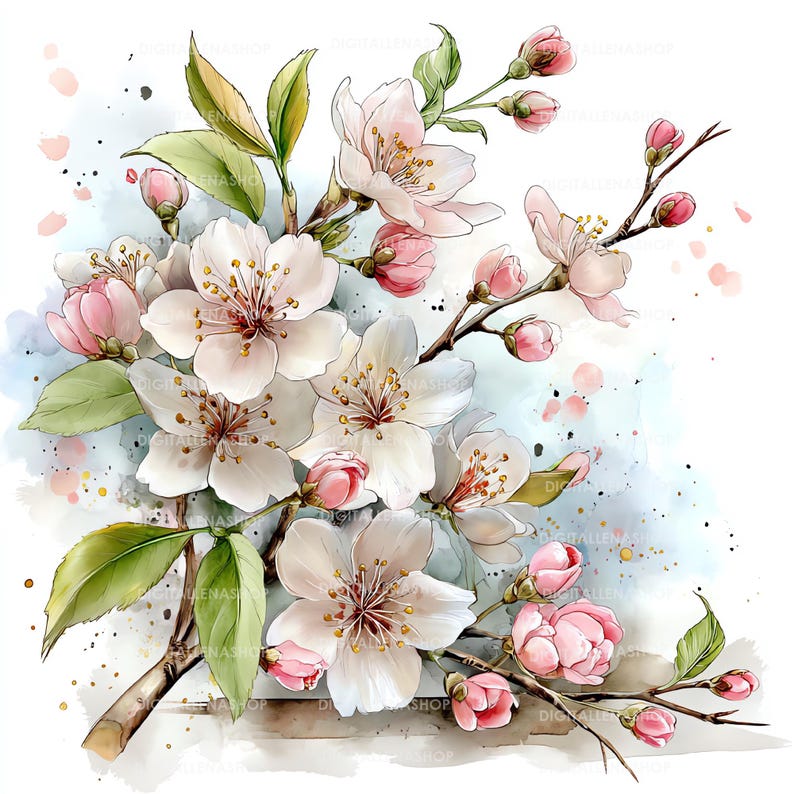 Sakura Cherry Blossom Watercolor Clipart Set | Spring Flowers | 28 JPG ...