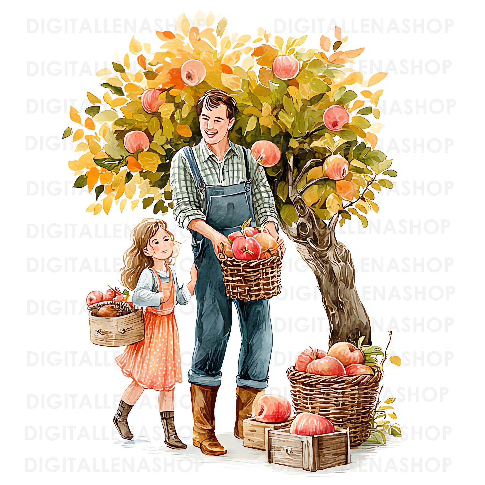 Apple Orchard Watercolor Clipart | Fall Harvest Illustrations (digital ...