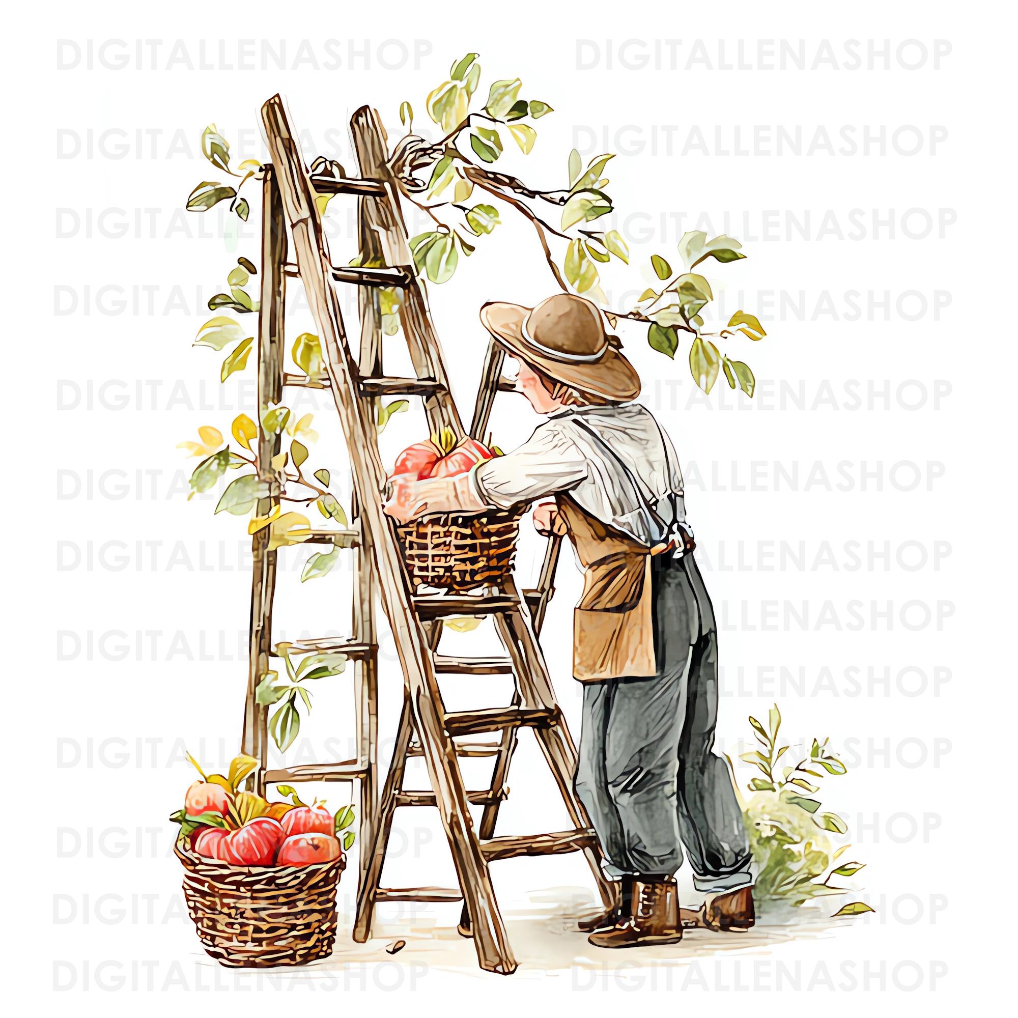 Apple Orchard Watercolor Clipart | Fall Harvest Illustrations (digital ...
