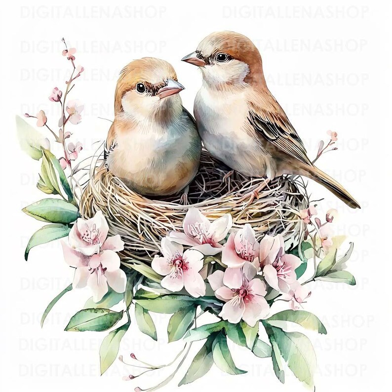 Spring Bird Nests Flower Clipart 12 JPG, Nests Watercolor Clip Art ...