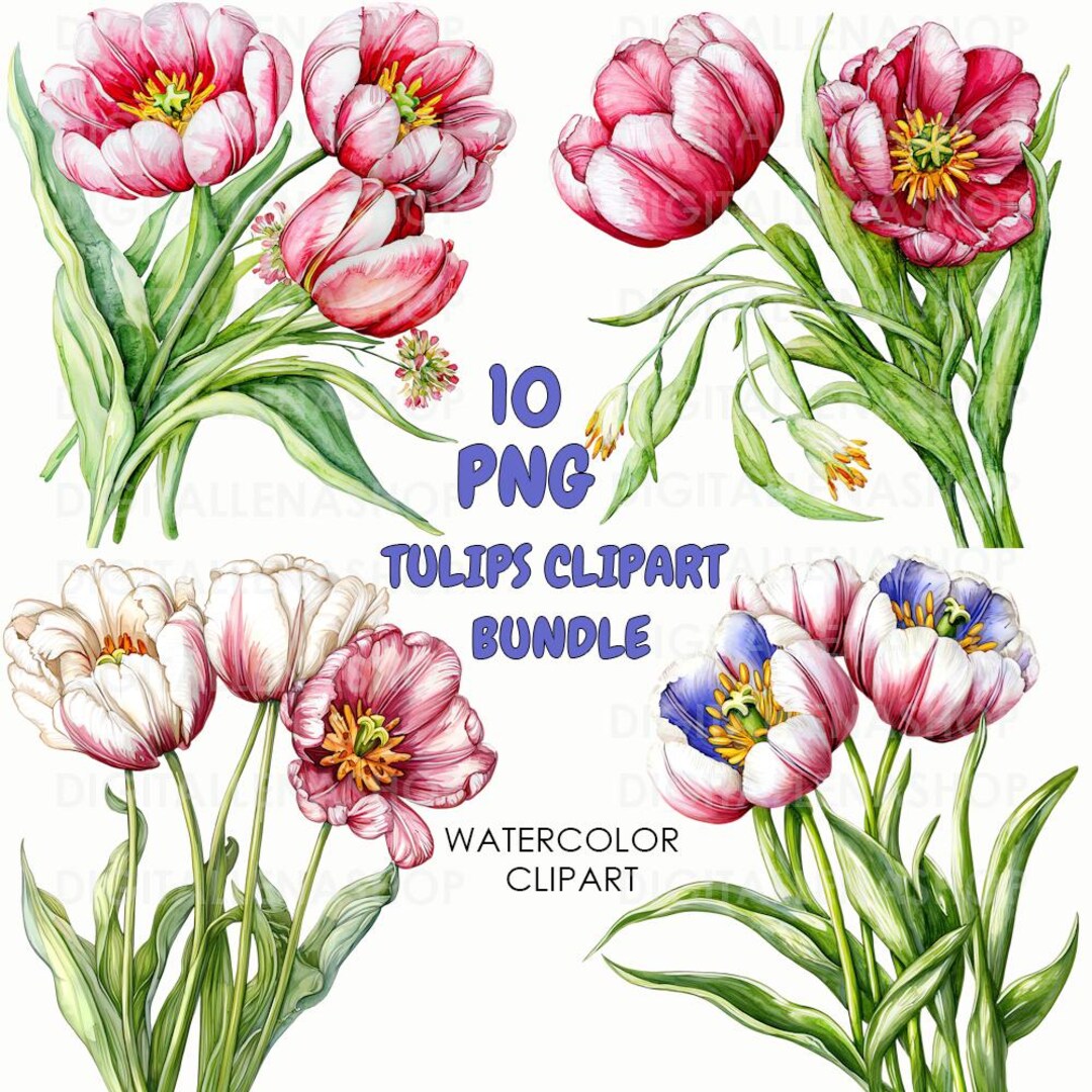 Tulips Flower Watercolor Clipart PNG | Digital Download, Invitations ...