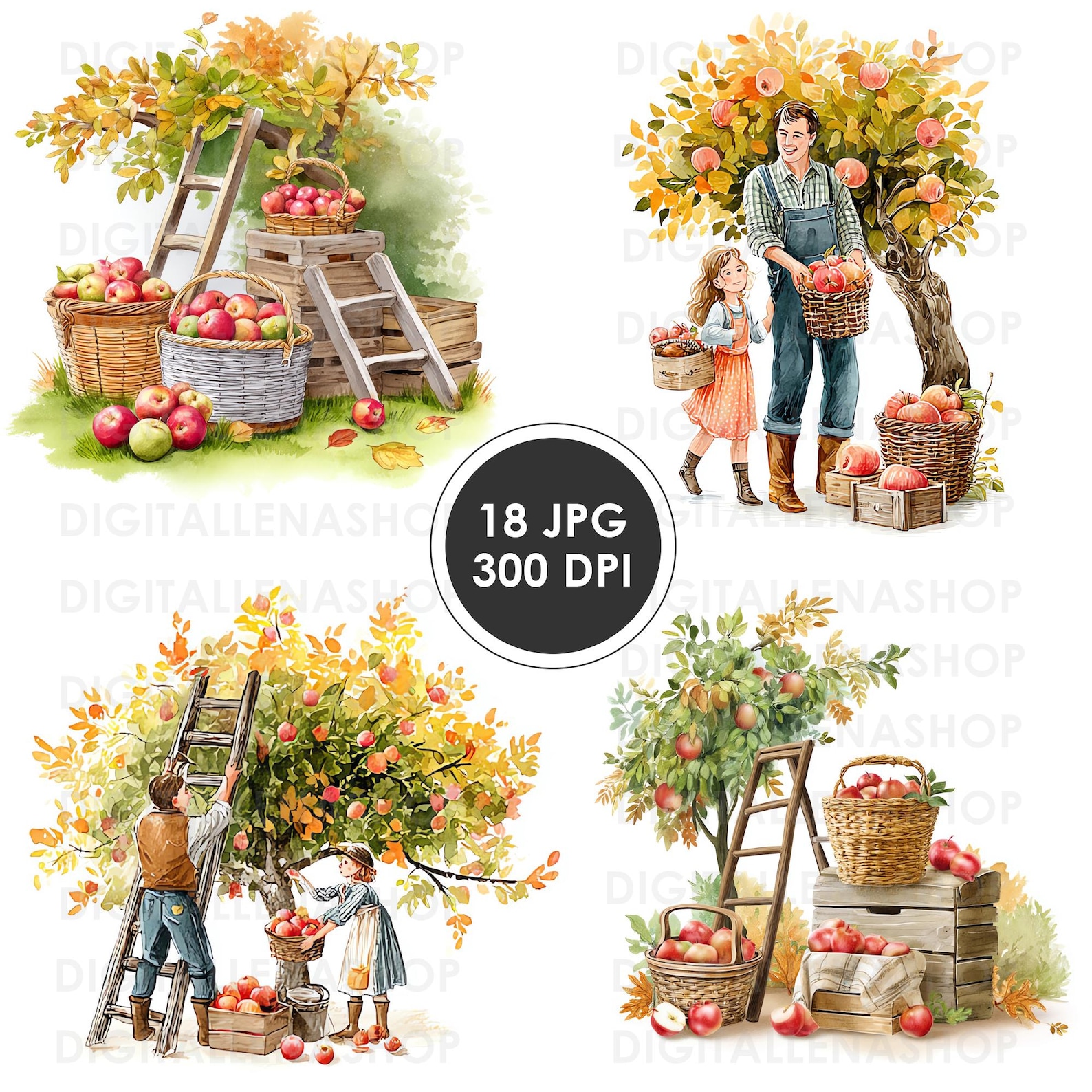Apple Orchard Watercolor Clipart | Fall Harvest Illustrations (digital ...