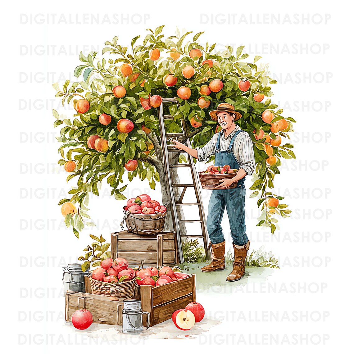 Apple Orchard Watercolor Clipart | Fall Harvest Illustrations (digital ...
