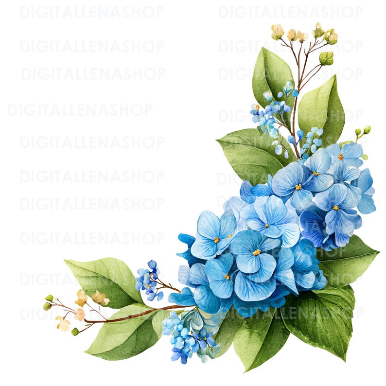 Blue Hydrangea Watercolor Clipart: Floral Invitation Frame PNG (digital ...