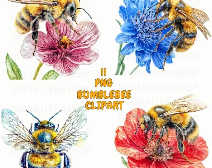 Bumblebee Bee Clipart Bundle, High-quality JPG, Craft Art, Card Making ...
