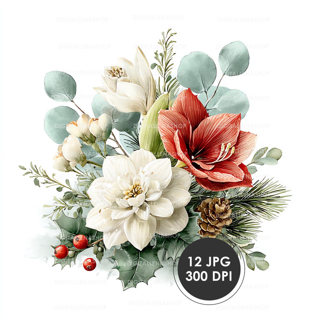 Christmas Floral Arrangement Watercolor Clipart | Red Amaryllis & White ...