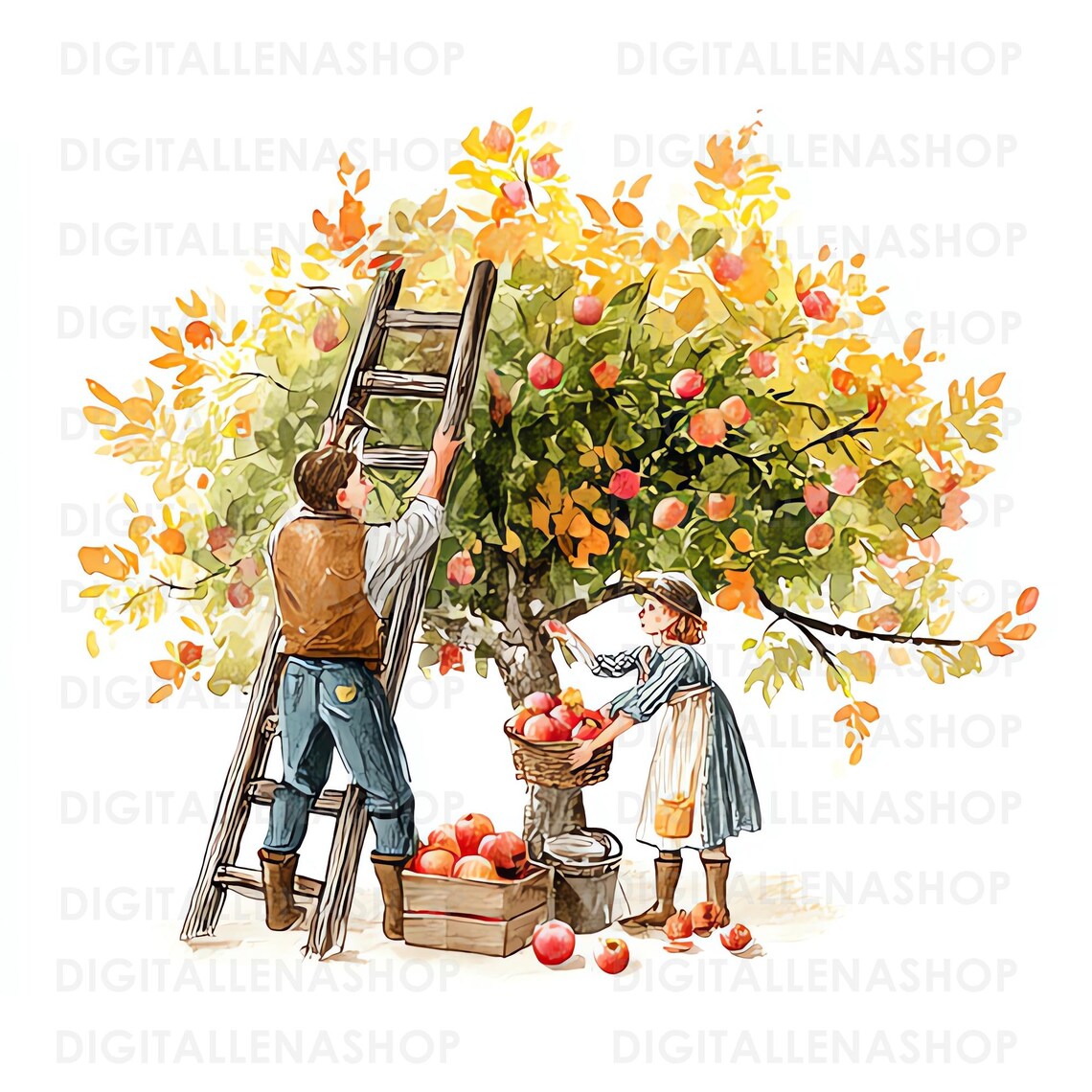 Apple Orchard Watercolor Clipart | Fall Harvest Illustrations (digital ...