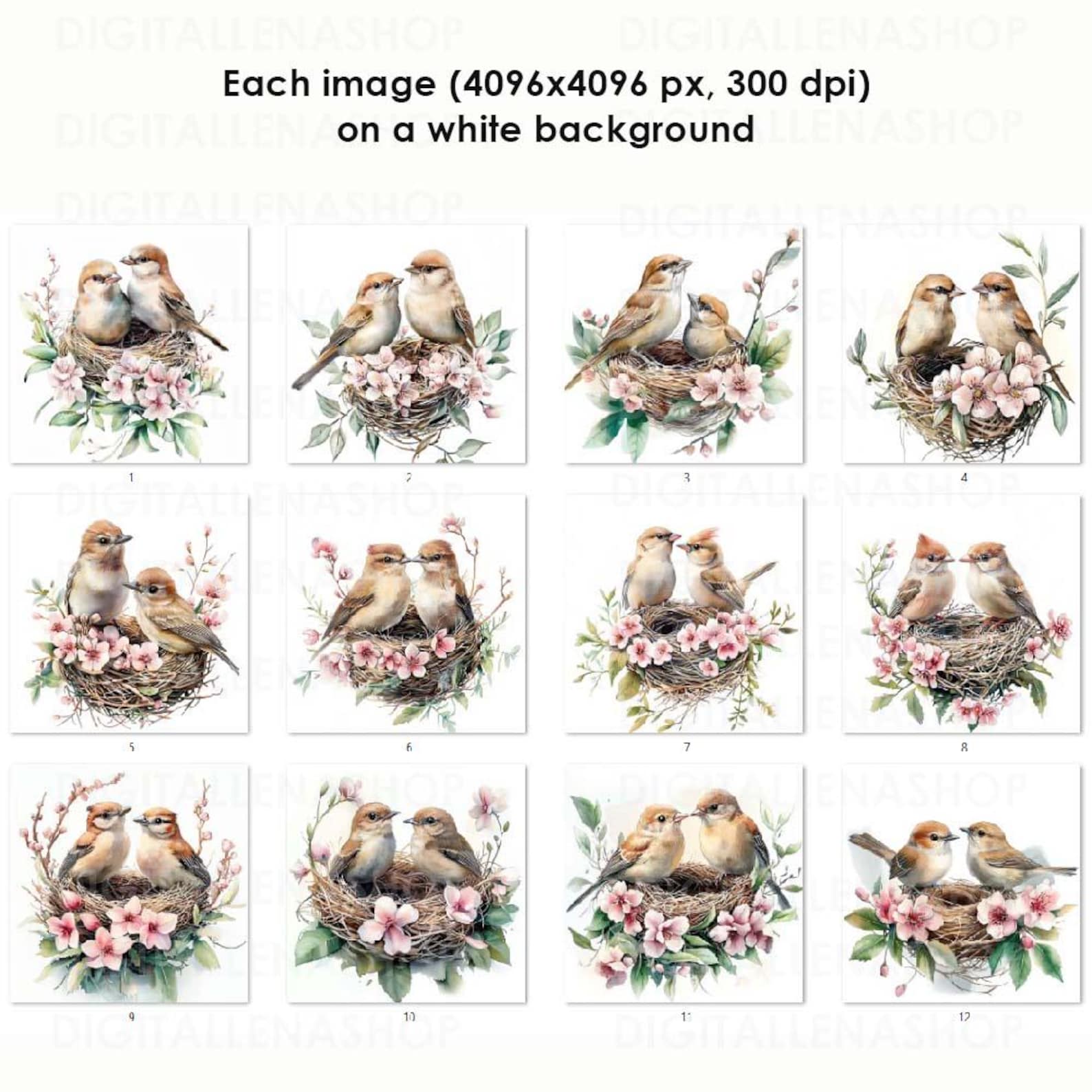 Spring Bird Nests Flower Clipart 12 JPG, Nests Watercolor Clip Art ...