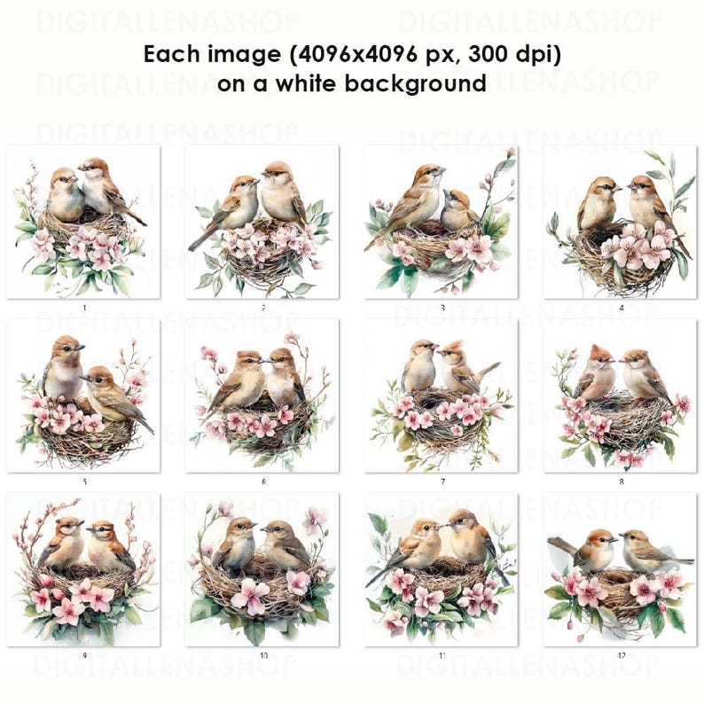 Spring Bird Nests Flower Clipart 12 JPG, Nests Watercolor Clip Art ...
