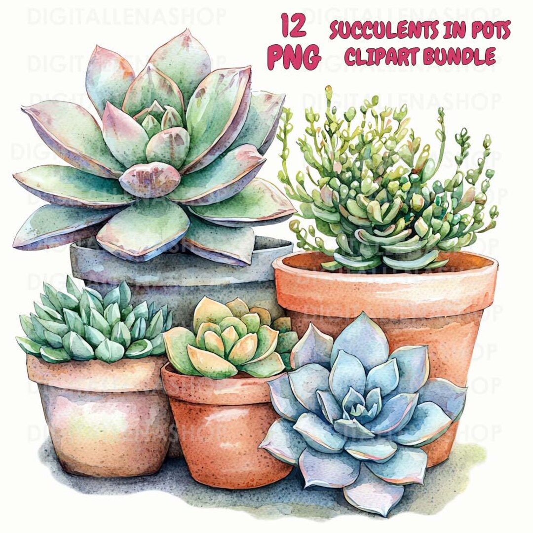 Watercolor Succulents Clipart: Boho Plant PNG Bundle (digital Download ...