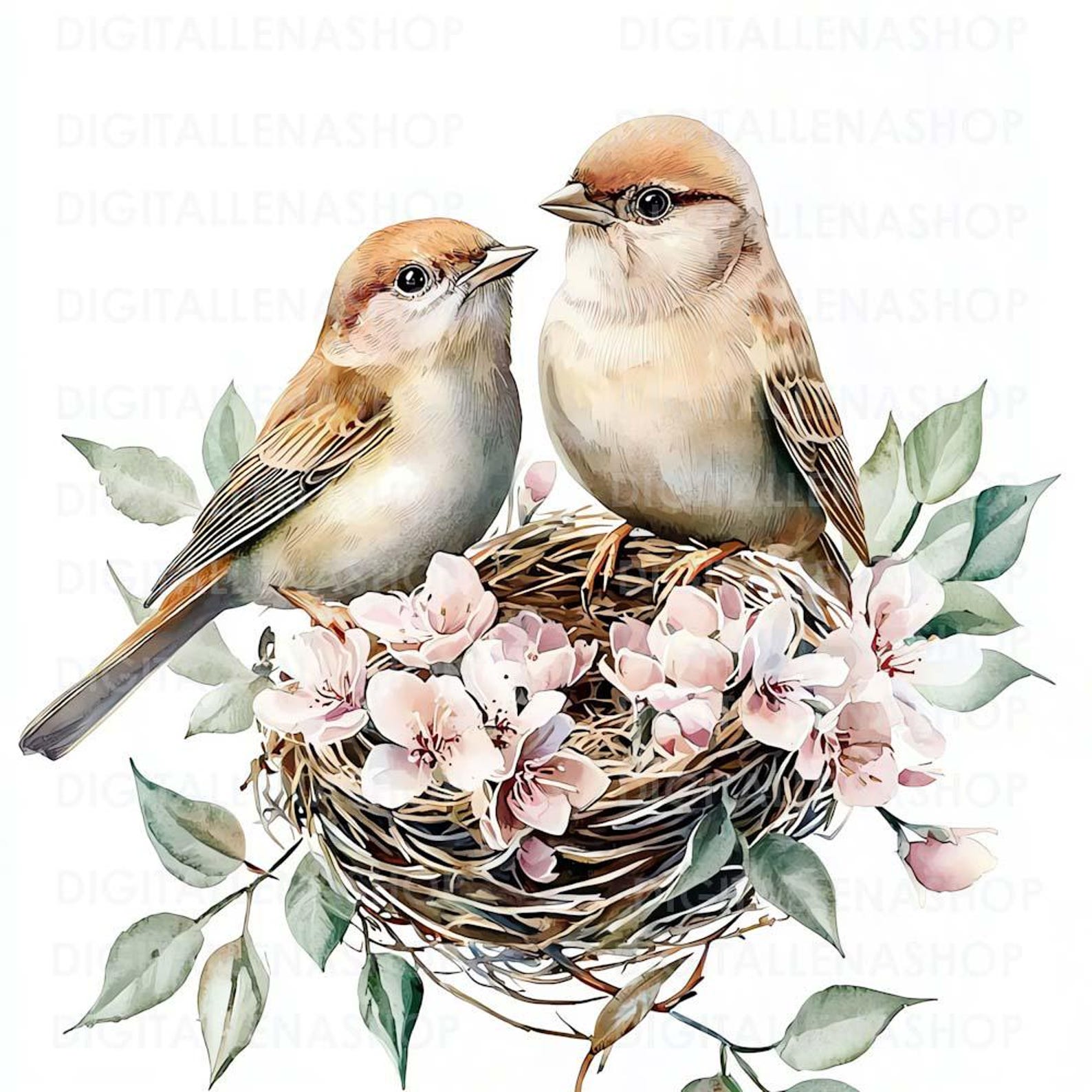 Spring Bird Nests Flower Clipart 12 JPG, Nests Watercolor Clip Art ...