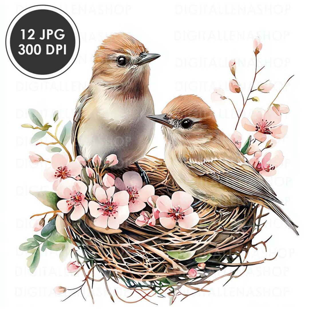Spring Bird Nests Flower Clipart 12 JPG, Nests Watercolor Clip Art | Printable, Junk Journaling ...