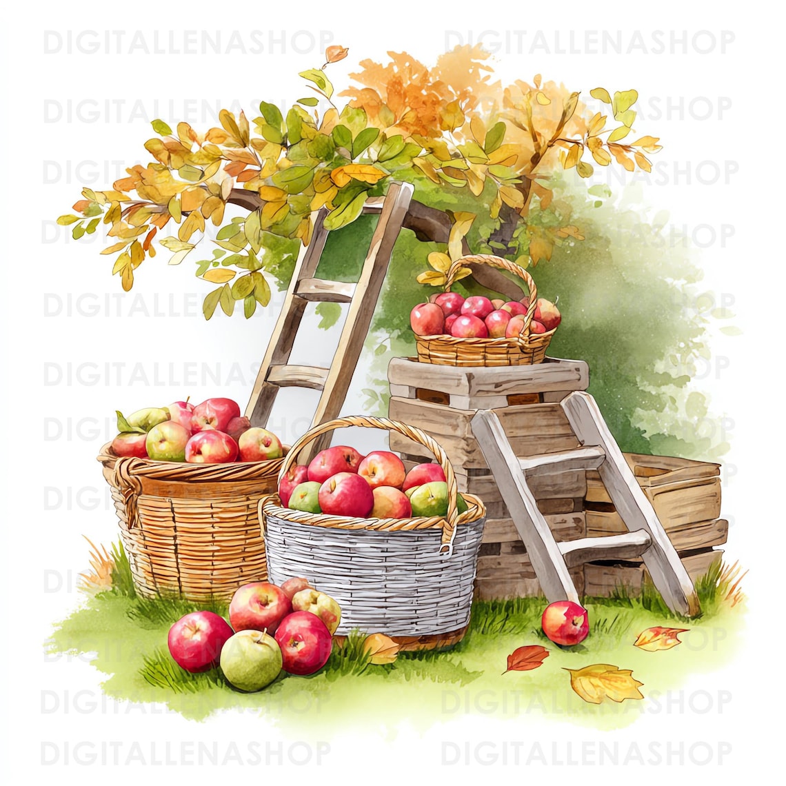 Apple Orchard Watercolor Clipart | Fall Harvest Illustrations (digital ...
