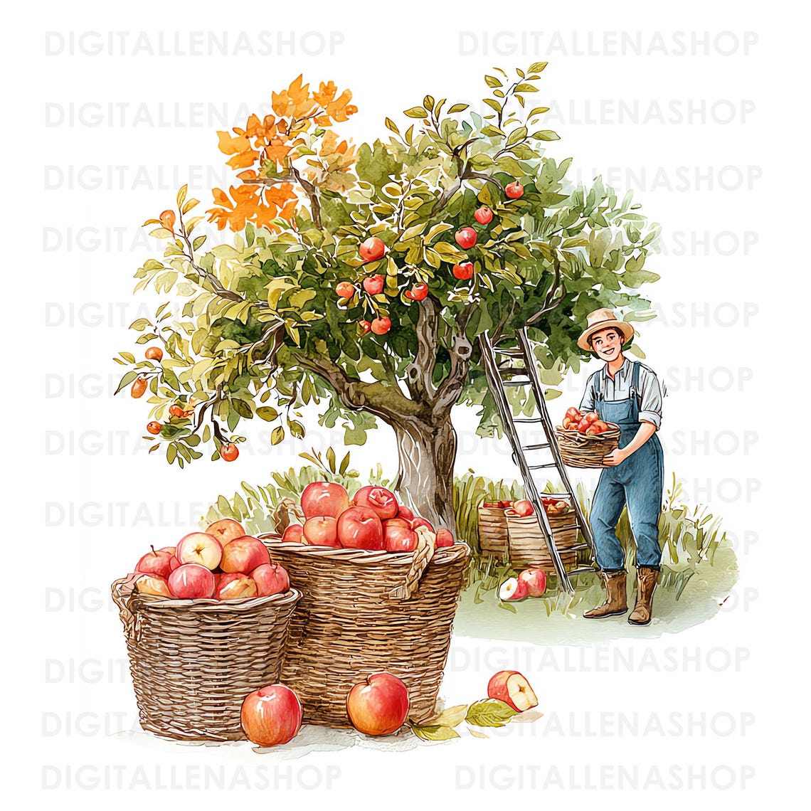 Apple Orchard Watercolor Clipart | Fall Harvest Illustrations (digital ...