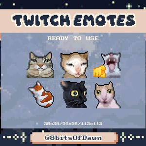 Funny Cat Meme Twitch Emotes - Ready to Use - ZIP File - Etsy