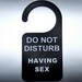 Do Not Disturb Sign - Customizable Door Hanger for Privacy - Perfect ...