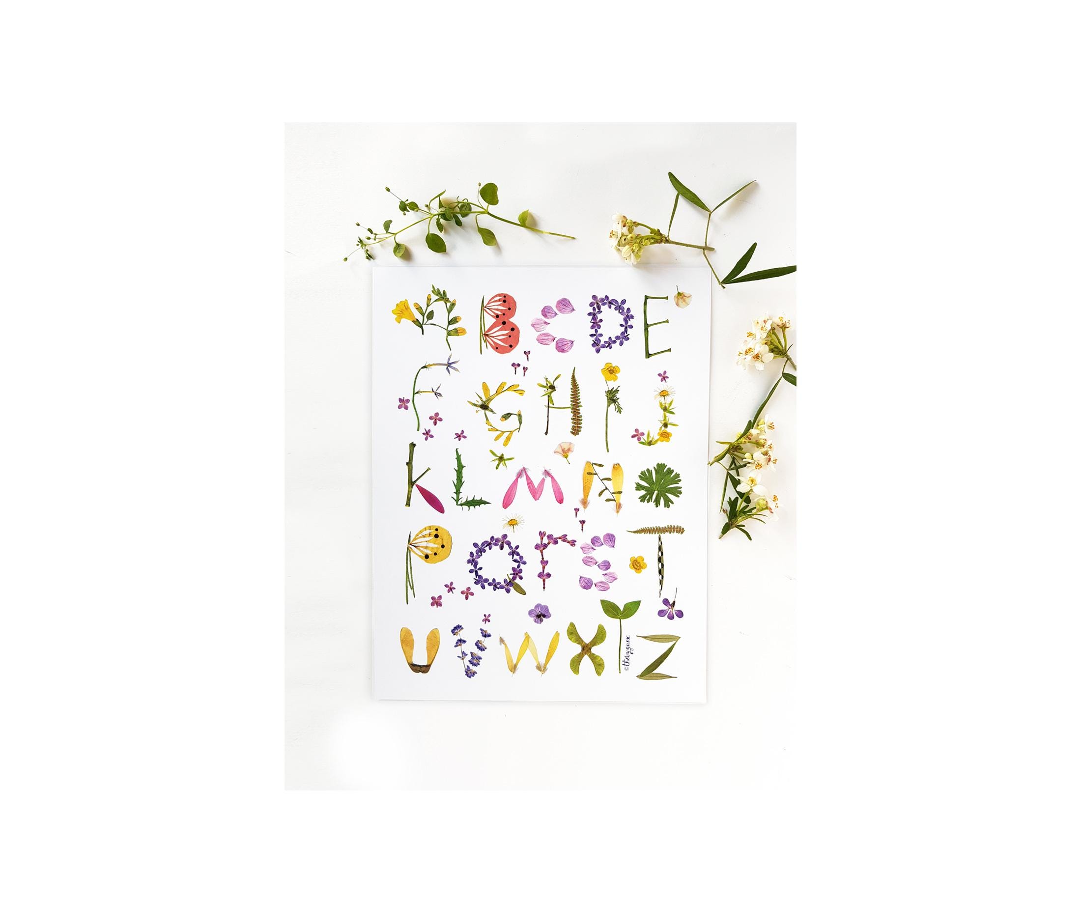 Botanical Herbarium Alphabet Flower Botanical Wall Art Poster, Pressed ...