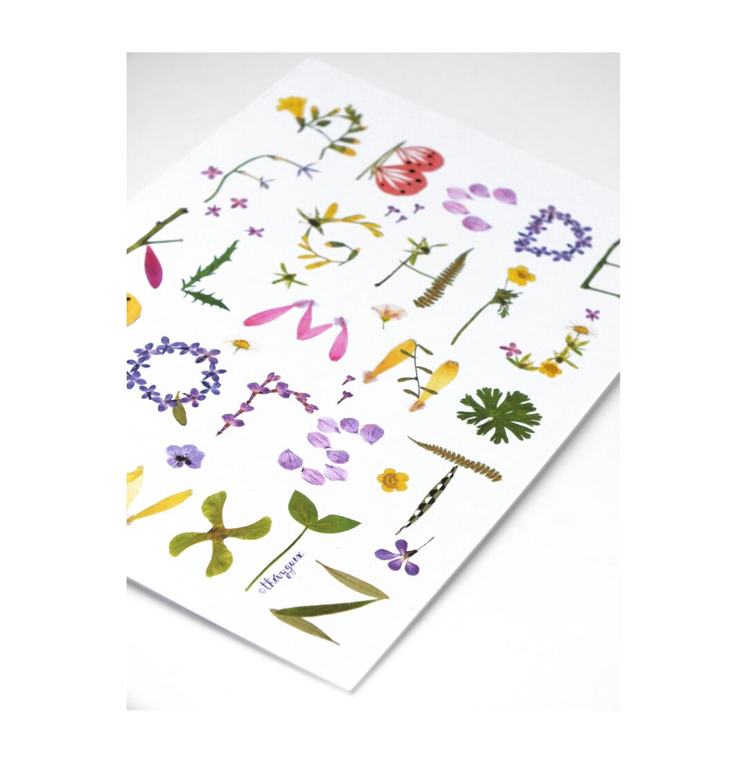 Botanical Herbarium Alphabet Flower Botanical Wall Art Poster, Pressed ...