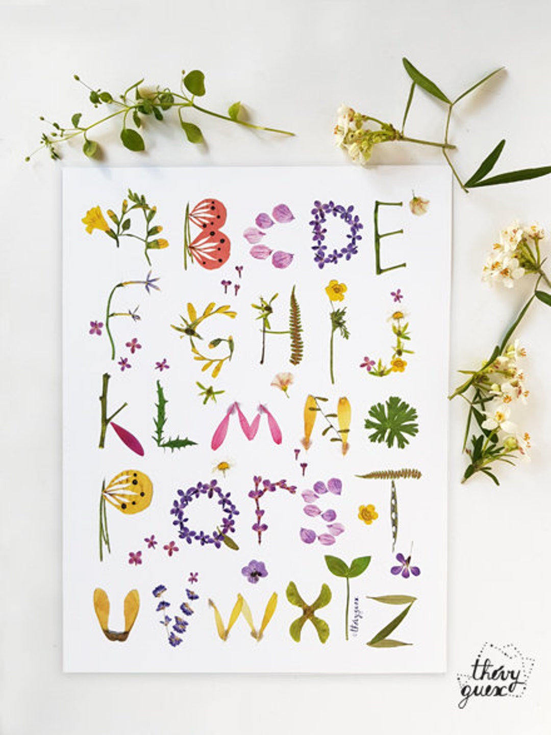 Botanical Herbarium Alphabet Flower Botanical Wall Art Poster, Pressed ...