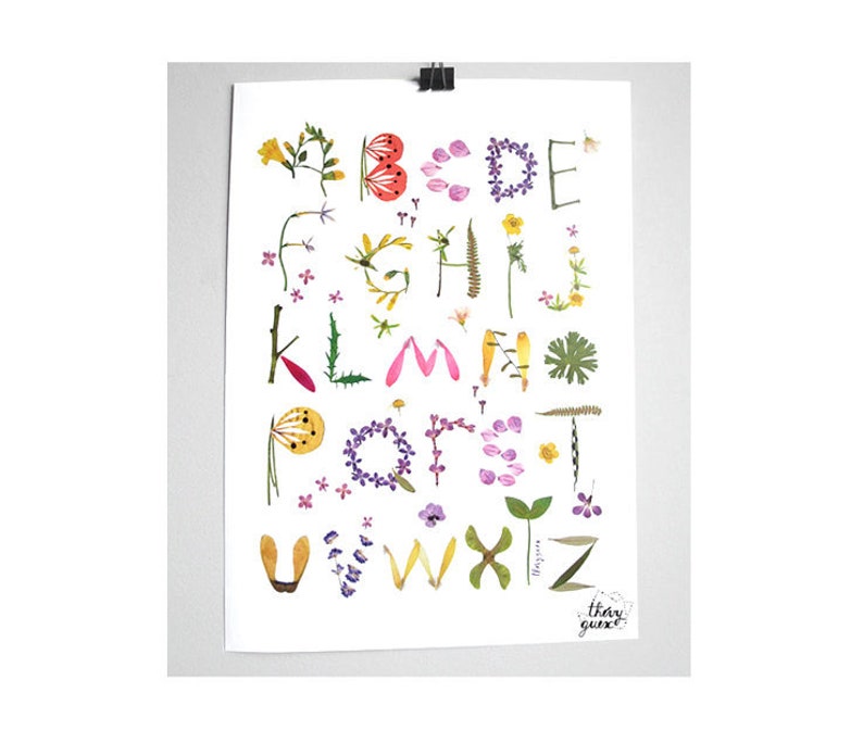 Alphabet abécédaire illustration fleur herbier botanique | Etsy