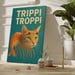 Trippi Troppi Cat Shrimp Poster – Funny Surreal Meme Print – Viral ...