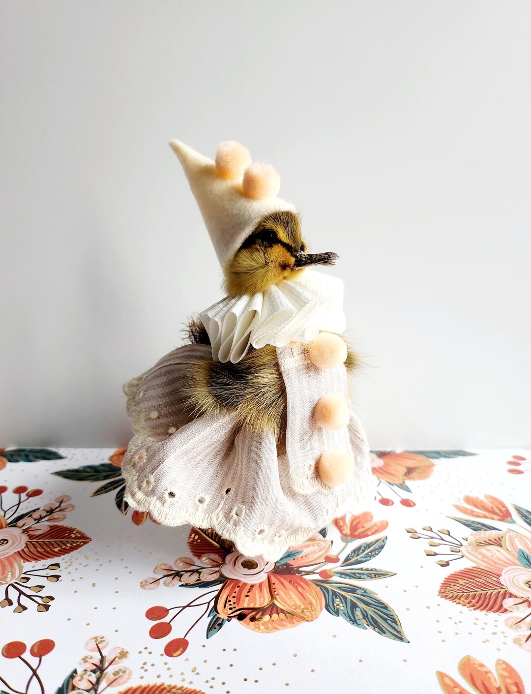 Silly Pierrot Taxidermy Duckling, Peach, White, and Beige Sad Duck ...
