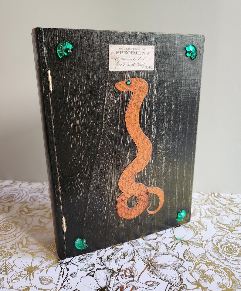 Art Deco Wooden Snake Box, Real Snakeskin Specimen Box With Curiosities ...