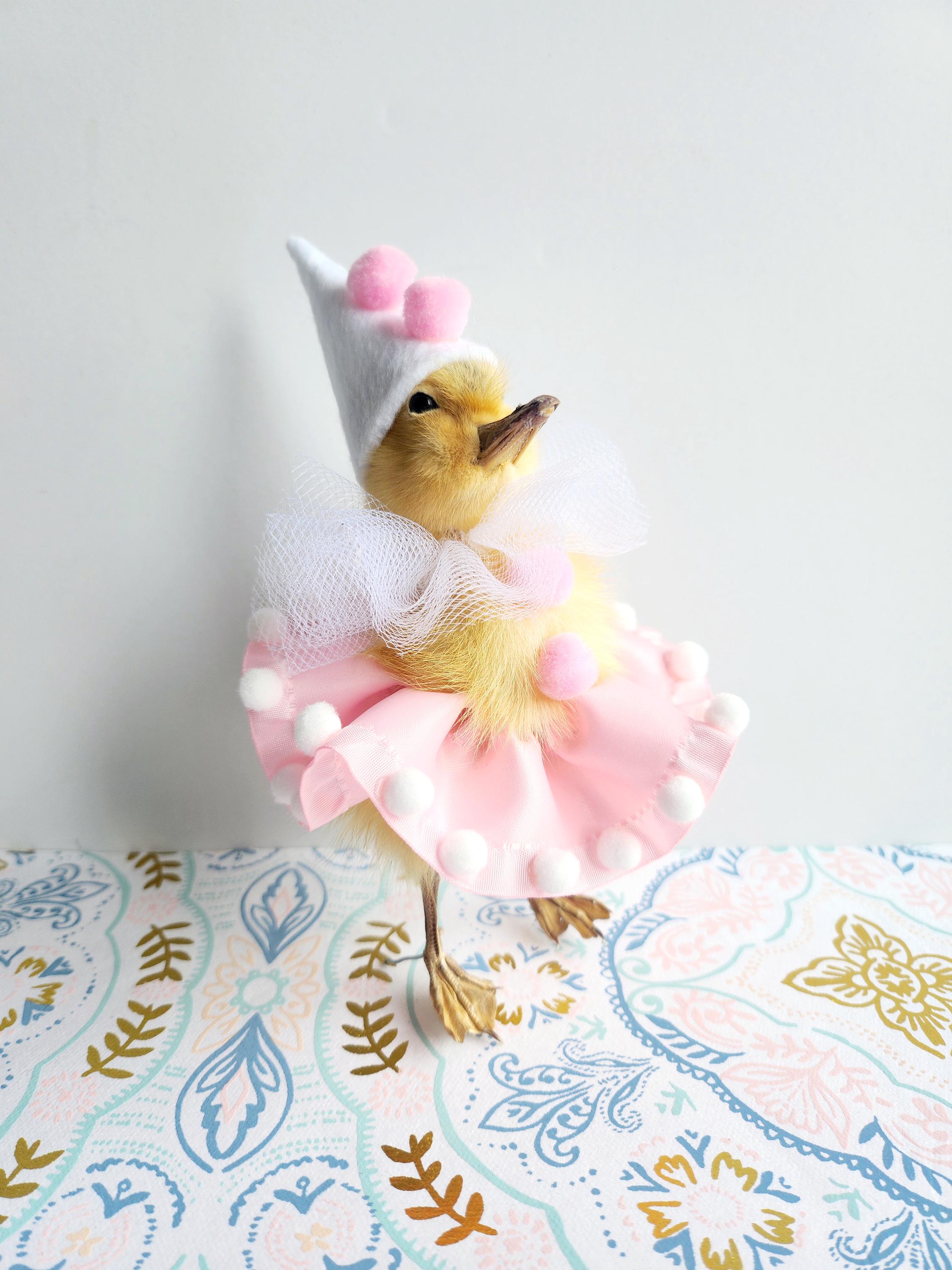 Pierrot Taxidermy Yellow Duckling, Pink Pom Pom Silly Sad Duck Clown ...