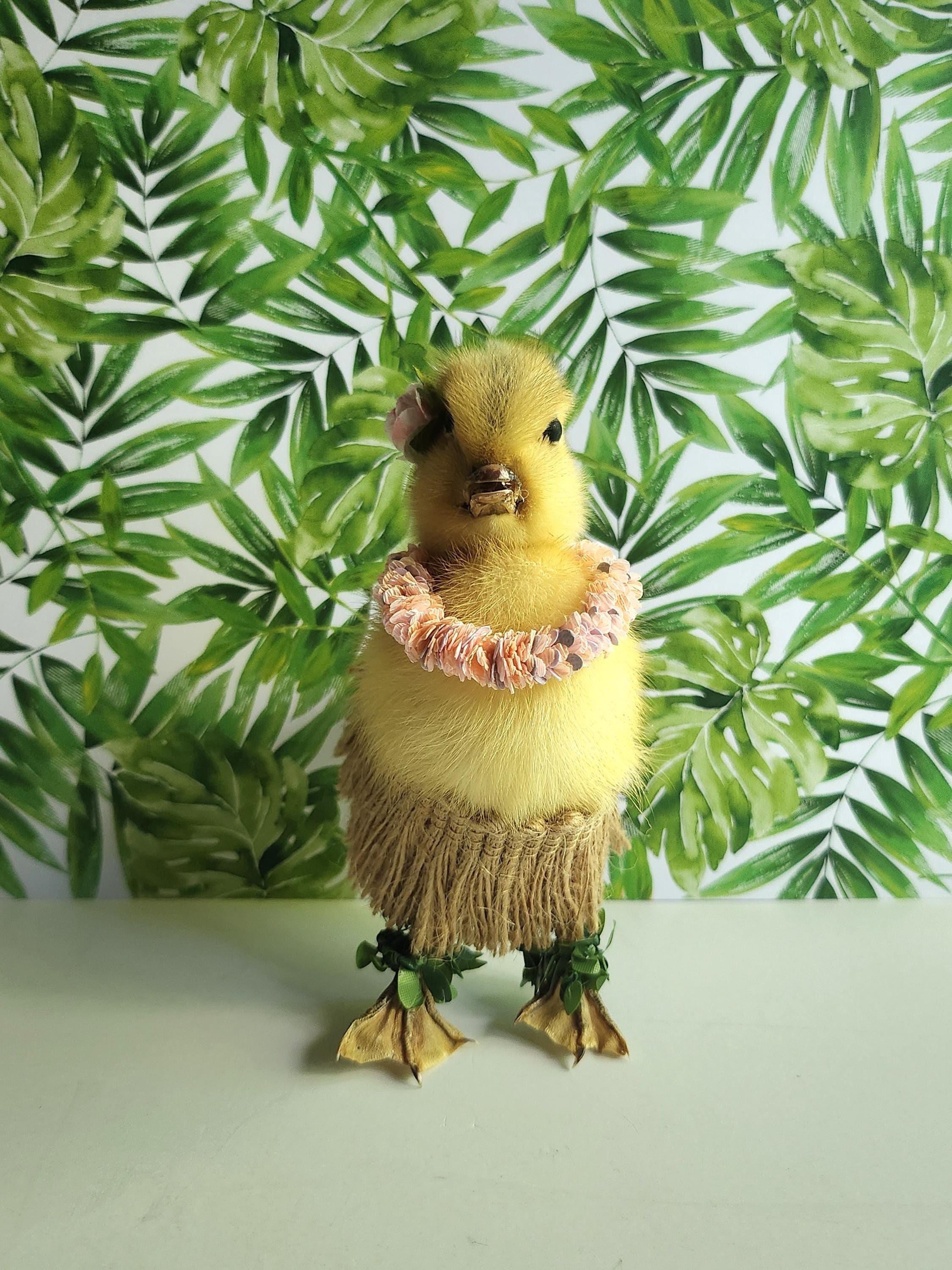 Hula Girl Yellow Duckling Taxidermy, Polynesian Dancer Duck Doll ...