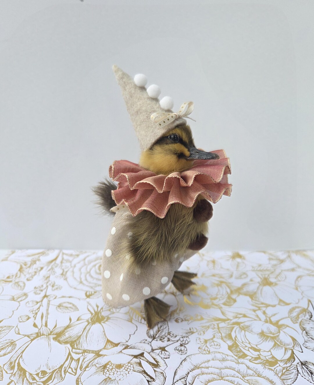 Silly Pierrot Taxidermy Duckling, Duck Clown, Real Stuffed Bird Art ...