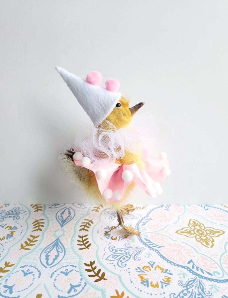 Pierrot Taxidermy Yellow Duckling, Pink Pom Pom Silly Sad Duck Clown ...