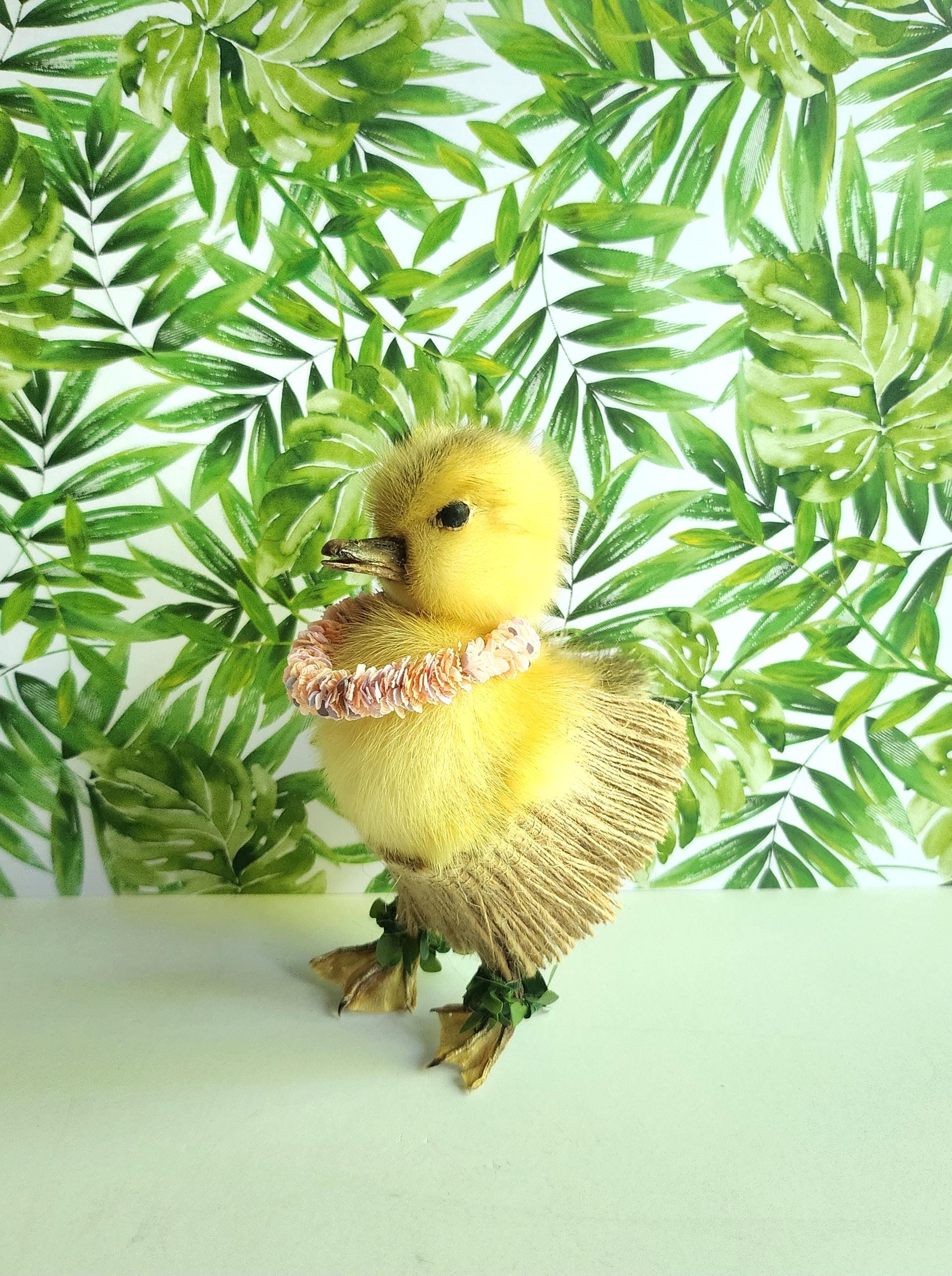 Hula Girl Yellow Duckling Taxidermy, Polynesian Dancer Duck Doll ...