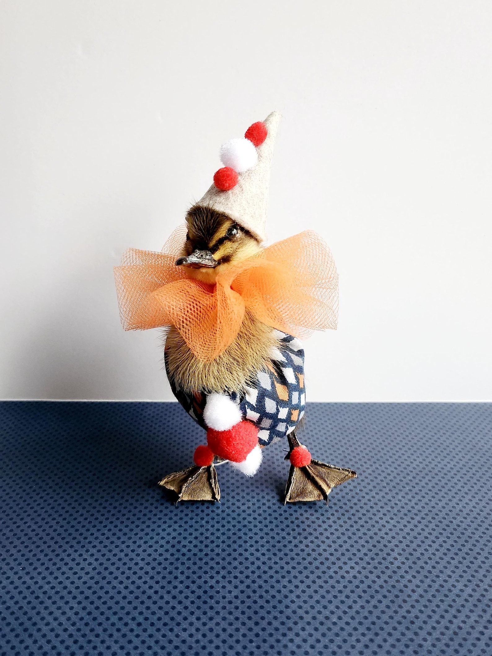 Pierrot Taxidermy Duckling, Blue and Orange Sad Duck Clown, Real ...