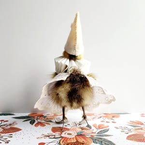 Silly Pierrot Taxidermy Duckling, Peach, White, and Beige Sad Duck ...