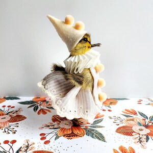 Silly Pierrot Taxidermy Duckling, Peach, White, and Beige Sad Duck ...