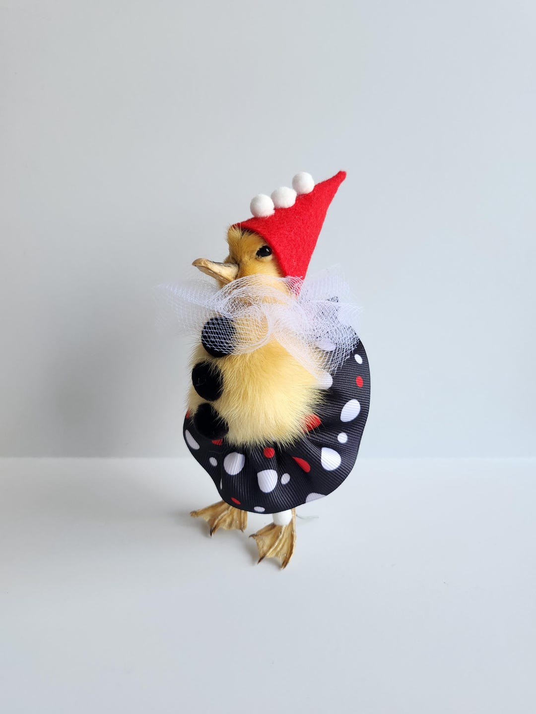 Silly Pierrot Taxidermy Duckling, Black, White, and Red Polka Dots Duck ...